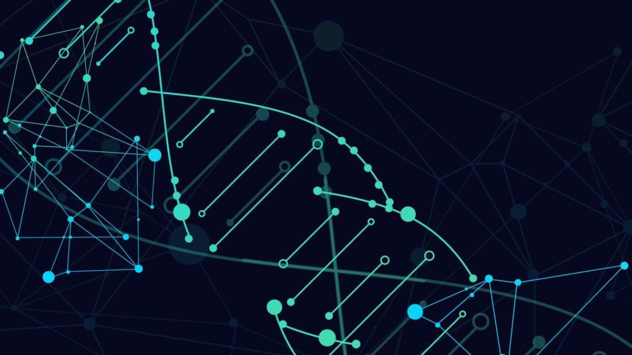 Biochemistry and Molecular Biophysics