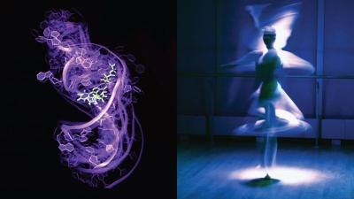 Research Labs | Biochemistry and Molecular Biophysics