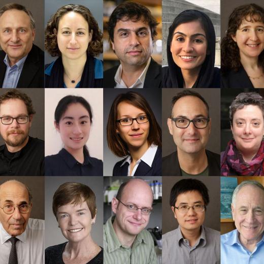 Biochemistry and Molecular Biophysics